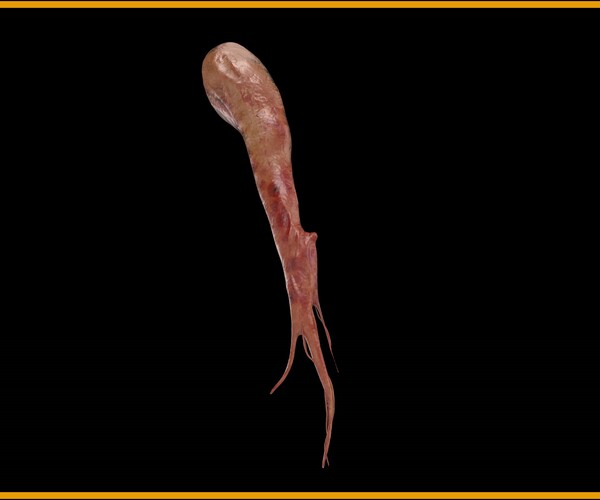 ArtStation - 20 Creature Arms | Game Assets