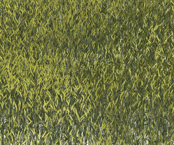 ArtStation - Young Wheat Field | Game Assets