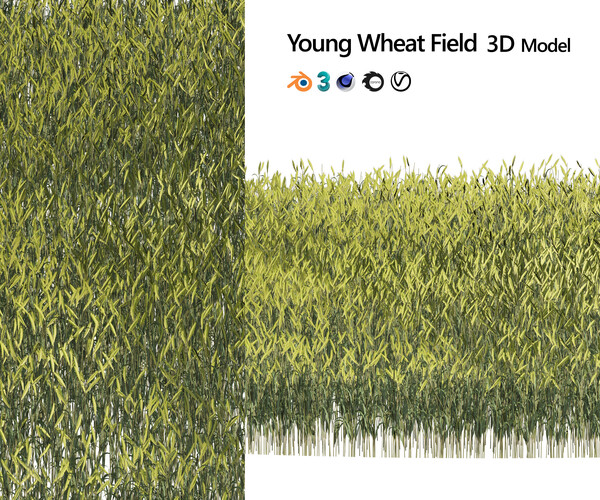 ArtStation - Young Wheat Field | Resources
