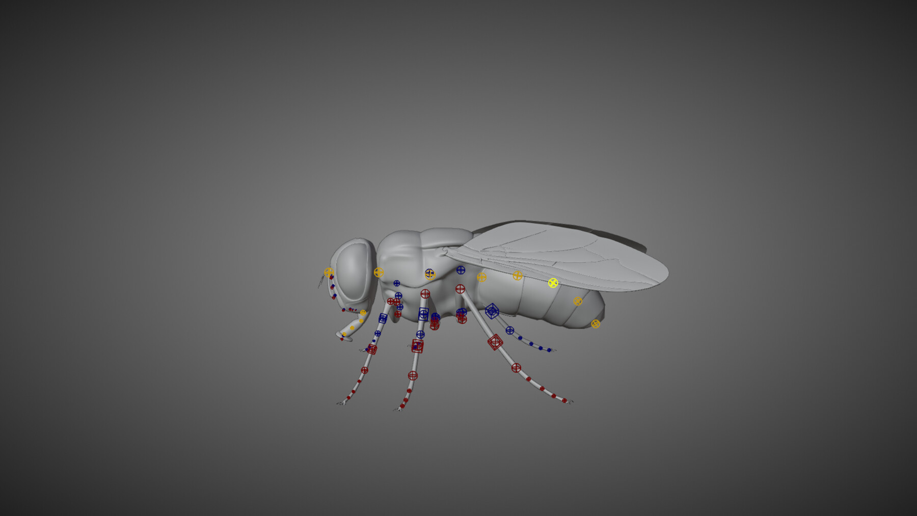 ArtStation - Housefly Animated | VFX Grace | Game Assets