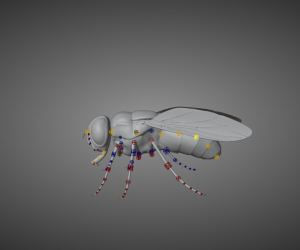 ArtStation - Housefly Animated | VFX Grace | Game Assets