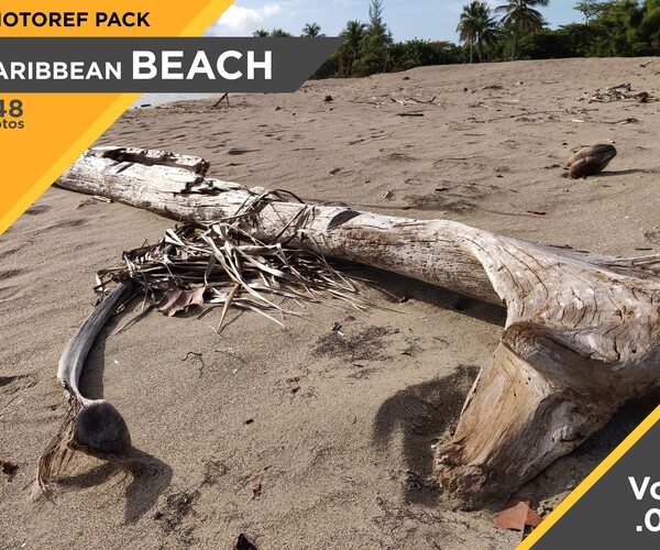 ArtStation - Caribbean Beach - Nature Reference | Resources