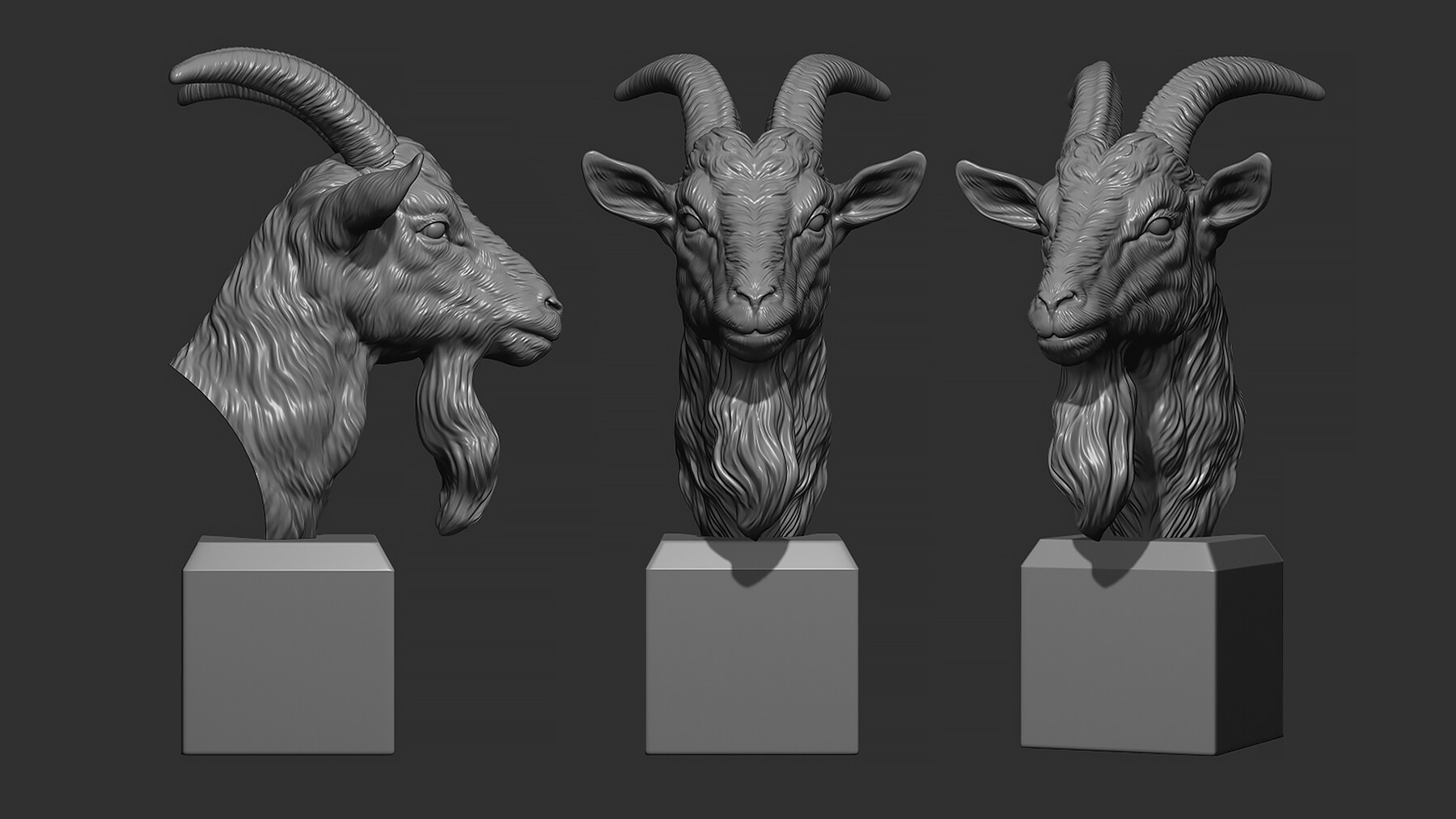 ArtStation - Goat head bust | Resources