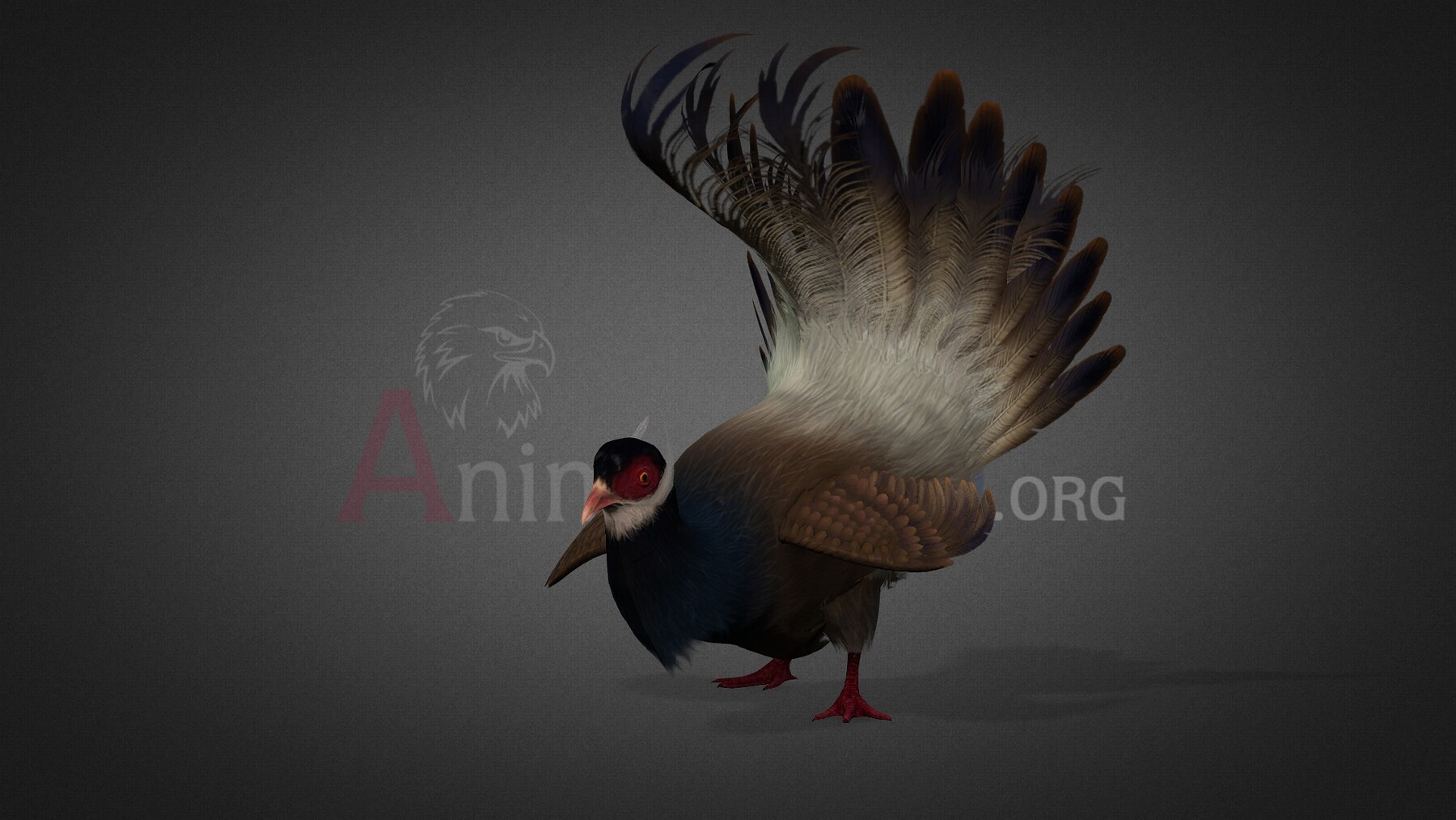 ArtStation - Chicken-1-Attack | Game Assets
