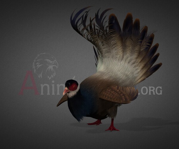 ArtStation - Chicken-1-Attack | Game Assets