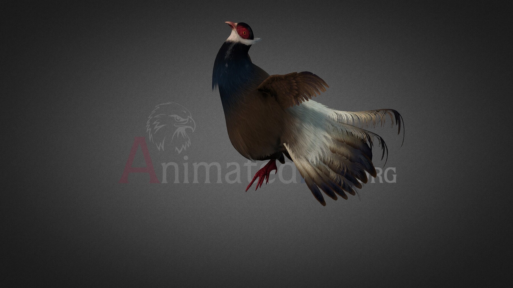 ArtStation - Chicken-1-Jump | Game Assets