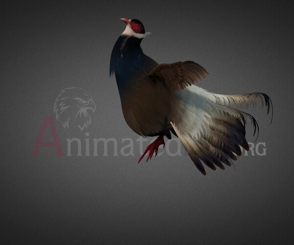 ArtStation - Chicken-1-Jump | Game Assets