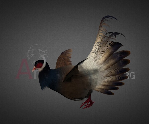 ArtStation - Chicken-1-Run | Game Assets