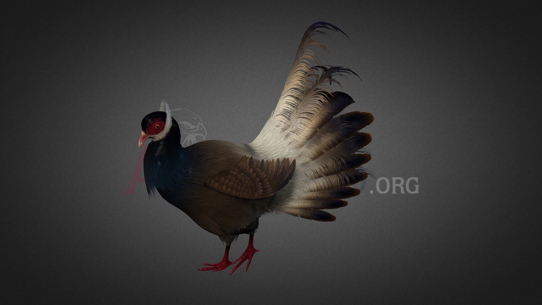ArtStation - Chicken-1-Walk | Game Assets