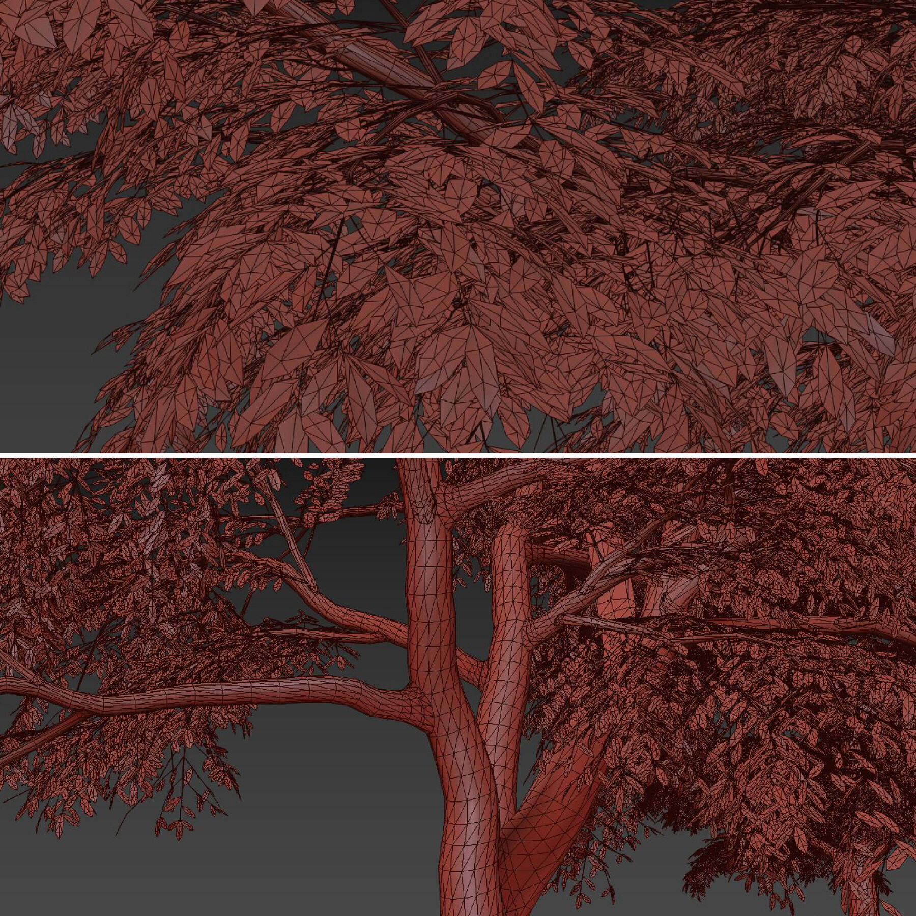 ArtStation - Set of Fraxinus Excelsior Tree (Common ash) (2 Trees ...
