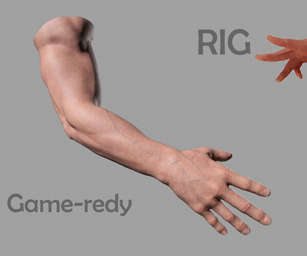 ArtStation - Arm/Hand Game-Ready | Resources