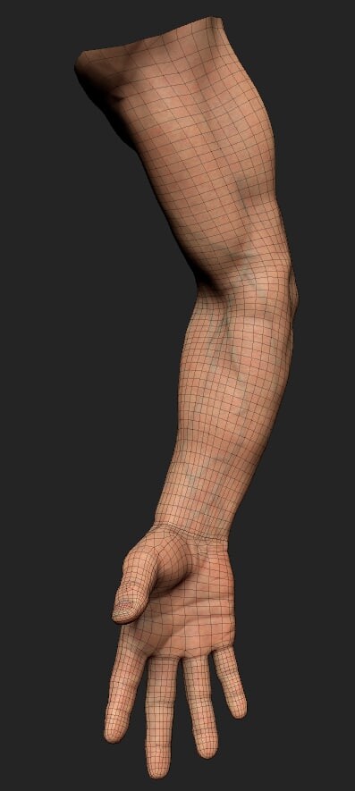 ArtStation - Arm/Hand Game-Ready | Resources