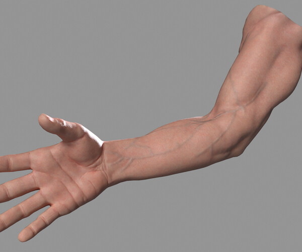 ArtStation - Arm/Hand Game-Ready | Resources