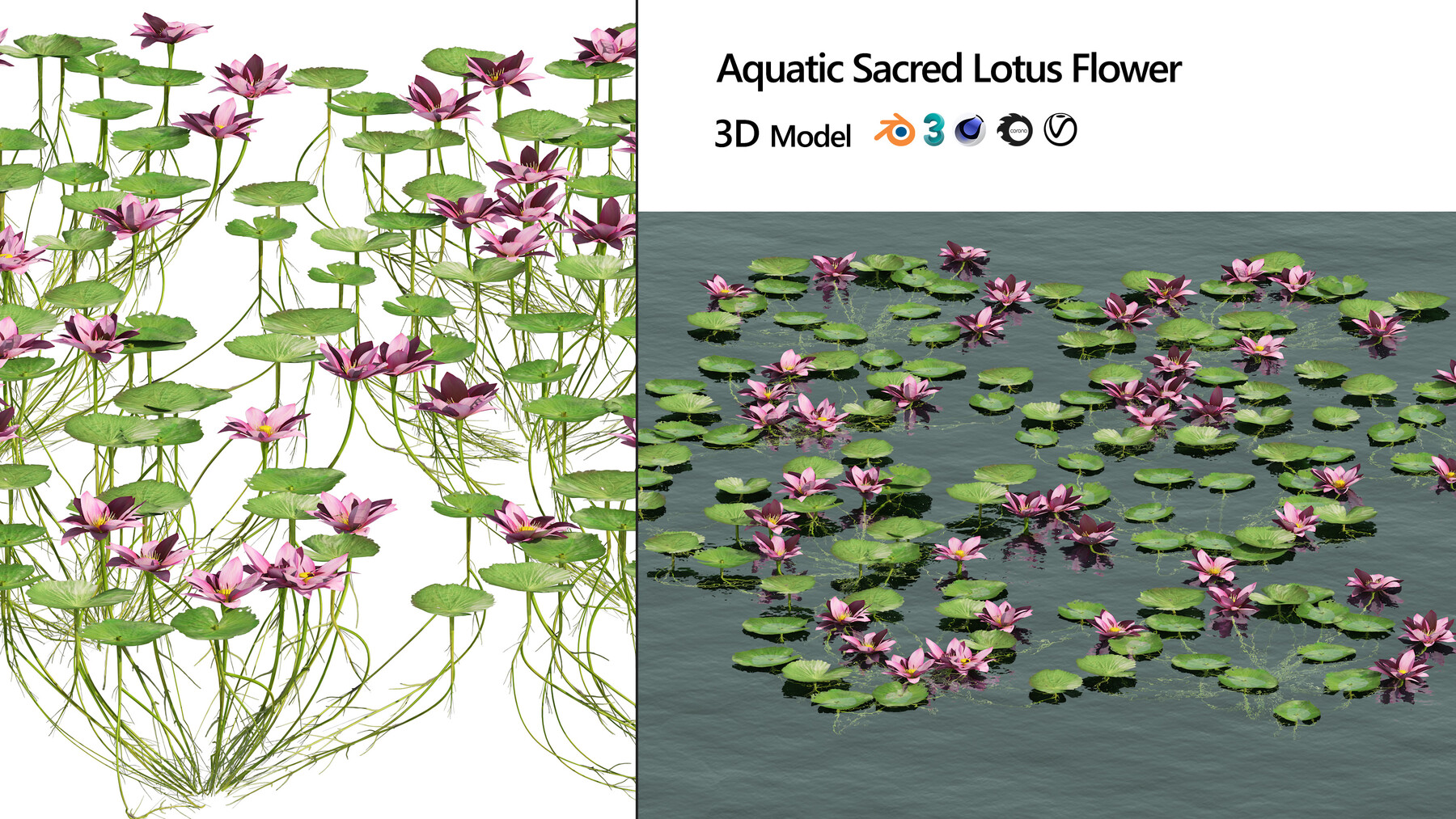 ArtStation - aquatic lotus flower | Game Assets