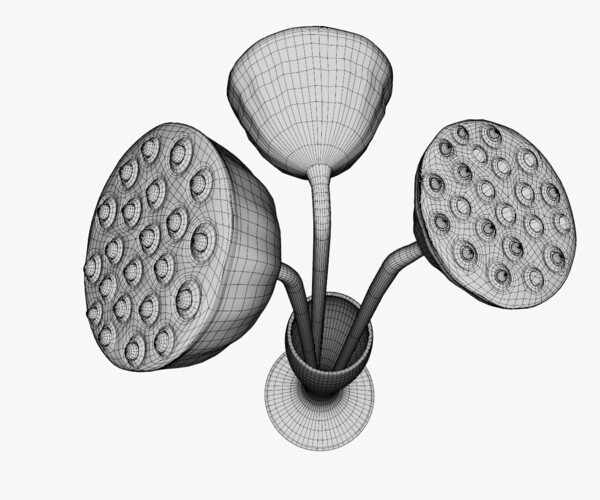ArtStation - 3D Lotus Seed Pods | Resources