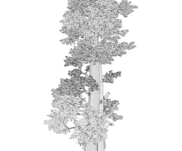 ArtStation - Western Juniper #02 (FBX) - High Poly Tree (3D Model ...