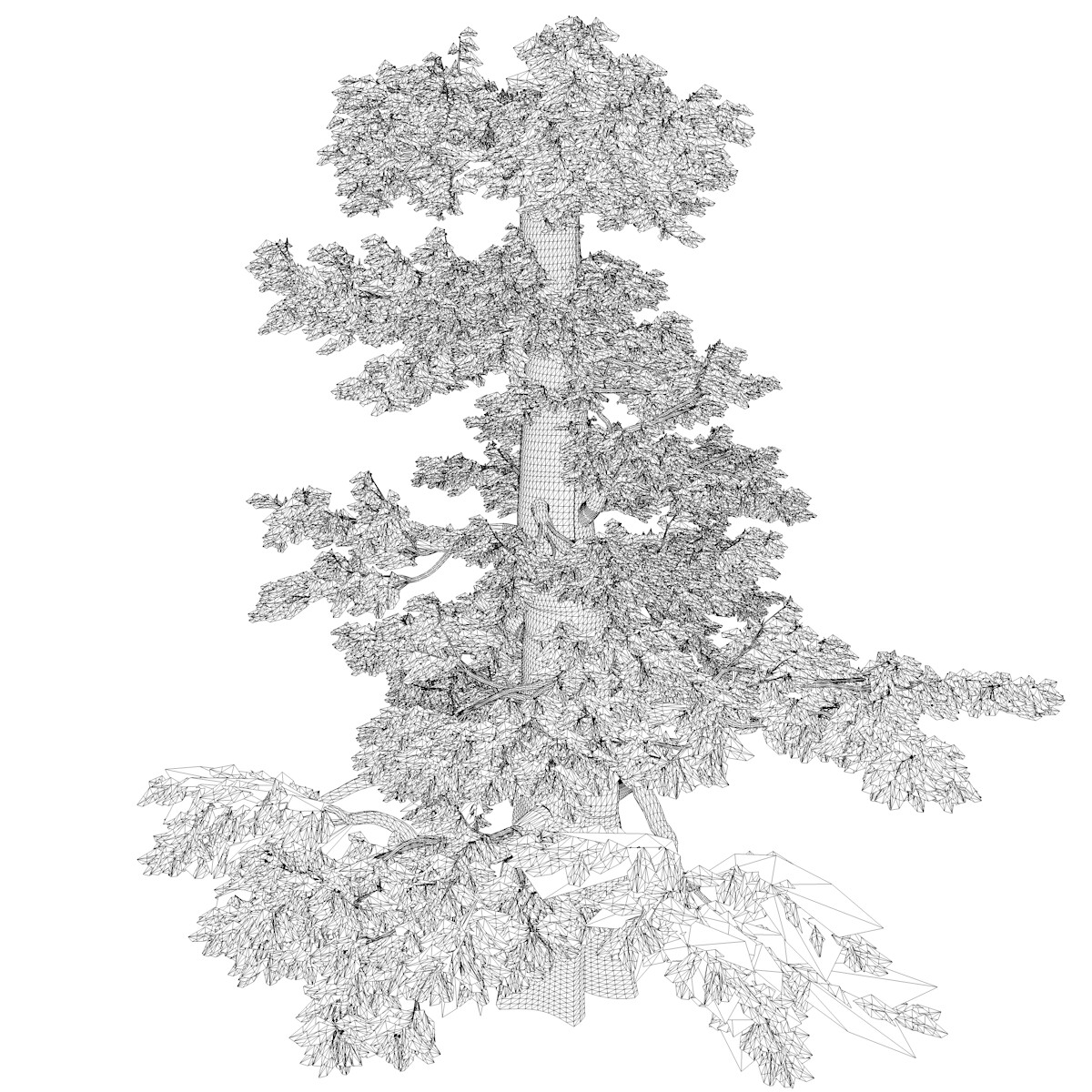 ArtStation - Western Juniper #03 (FBX) - High Poly Tree (3D Model ...