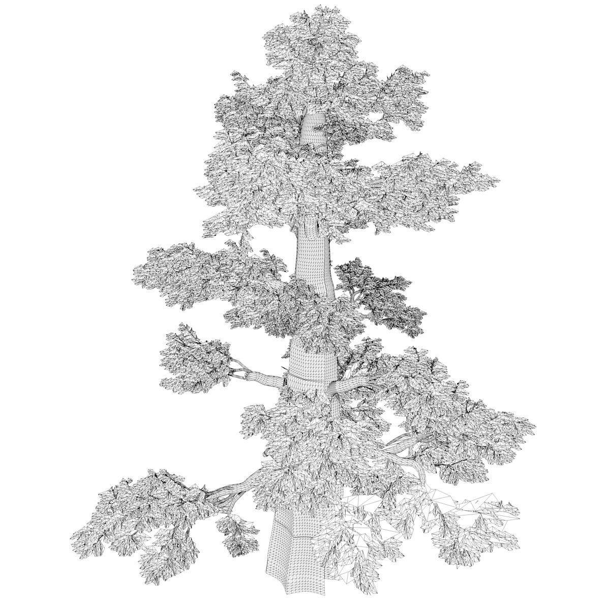 ArtStation - Western Juniper #05 (FBX) - High Poly Tree (3D Model ...