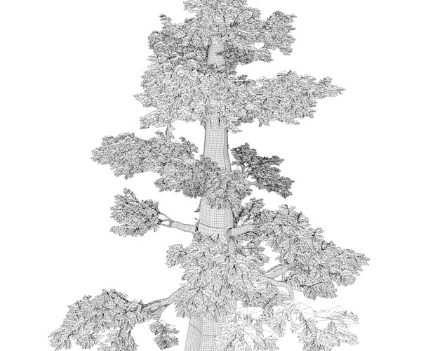 ArtStation - Western Juniper #05 (FBX) - High Poly Tree (3D Model ...