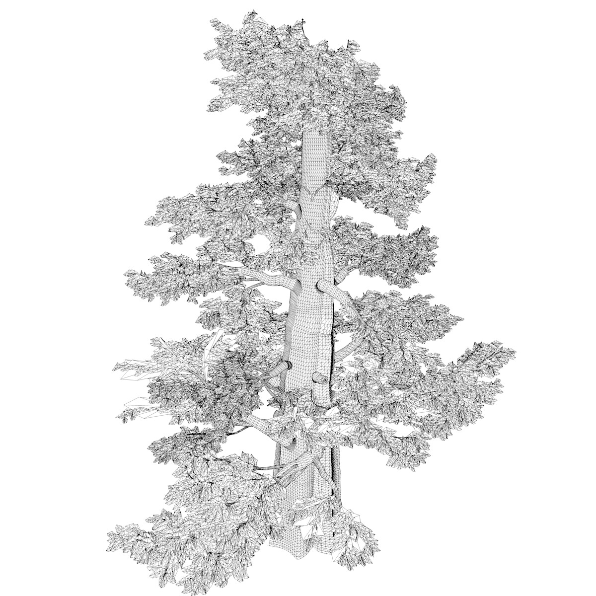 ArtStation - Western Juniper #06 (FBX) - High Poly Tree (3D Model ...