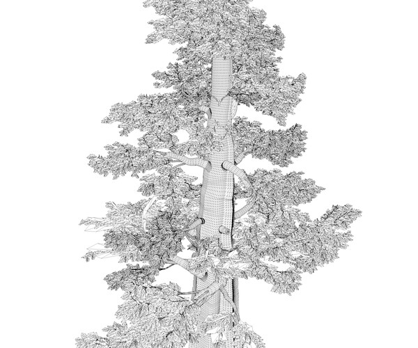 ArtStation - Western Juniper #06 (FBX) - High Poly Tree (3D Model ...