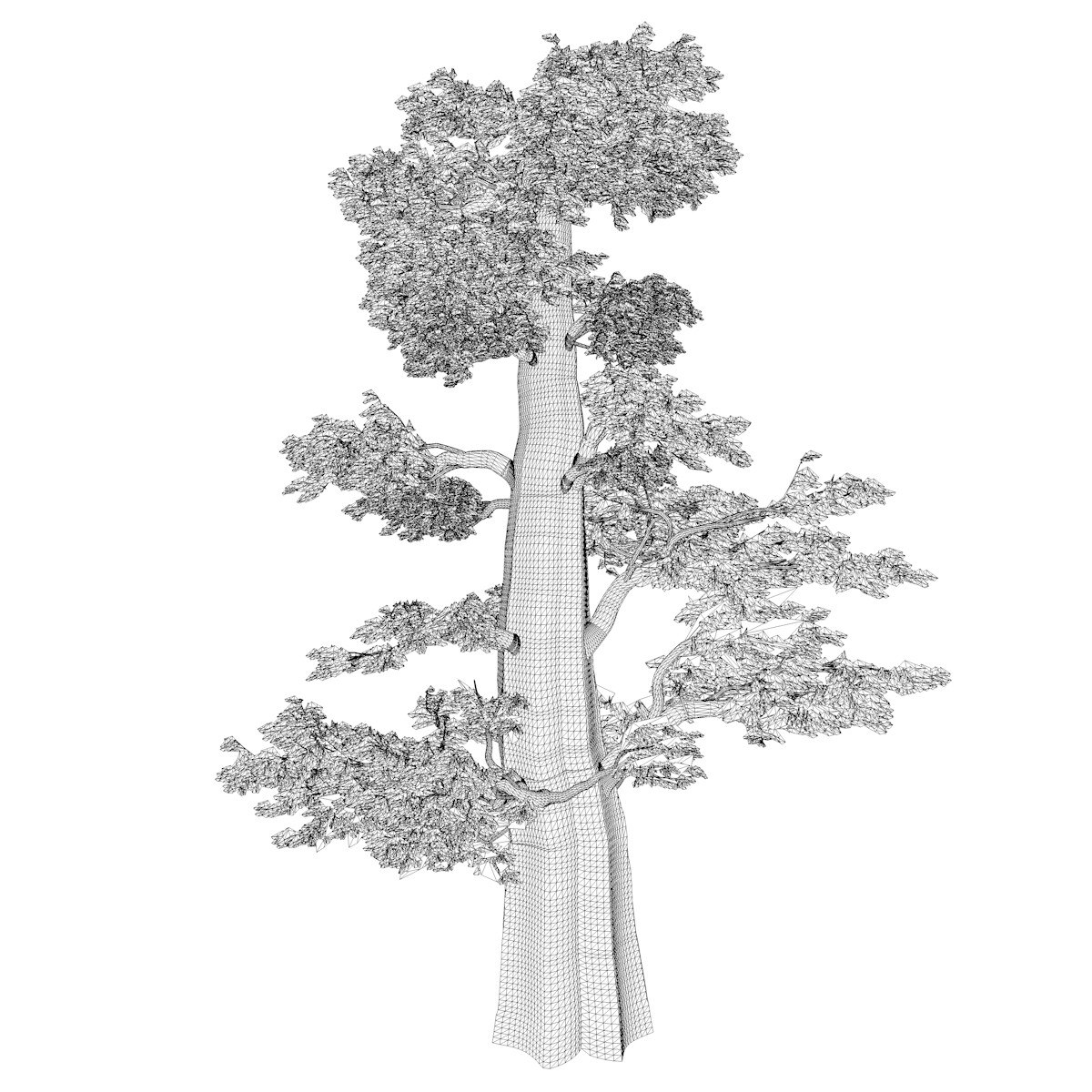 ArtStation - Western Juniper #07 (FBX) - High Poly Tree (3D Model ...