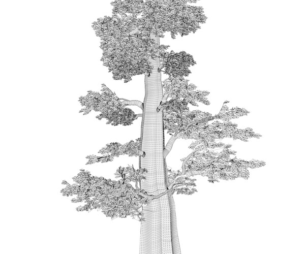 ArtStation - Western Juniper #07 (FBX) - High Poly Tree (3D Model ...