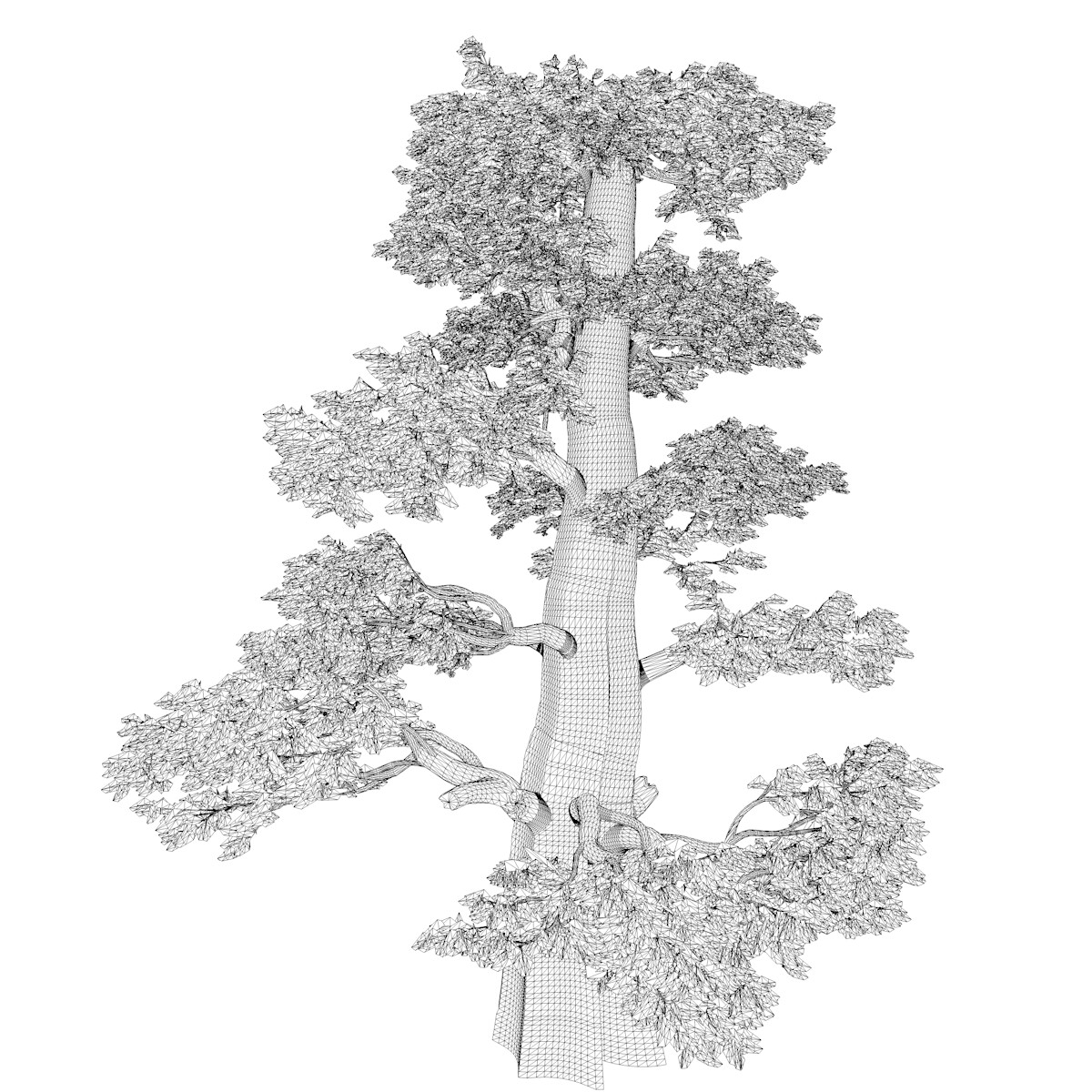 ArtStation - Western Juniper #09 (FBX) - High Poly Tree (3D Model ...