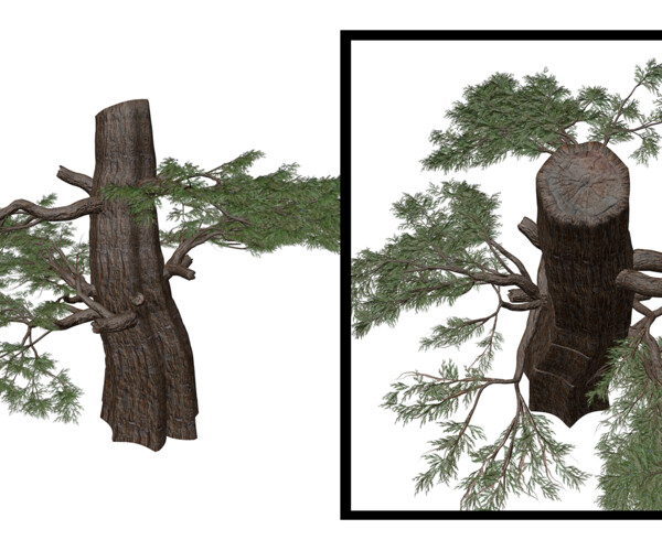 ArtStation - Western Juniper #10 (FBX) - High Poly Tree (3D Model ...