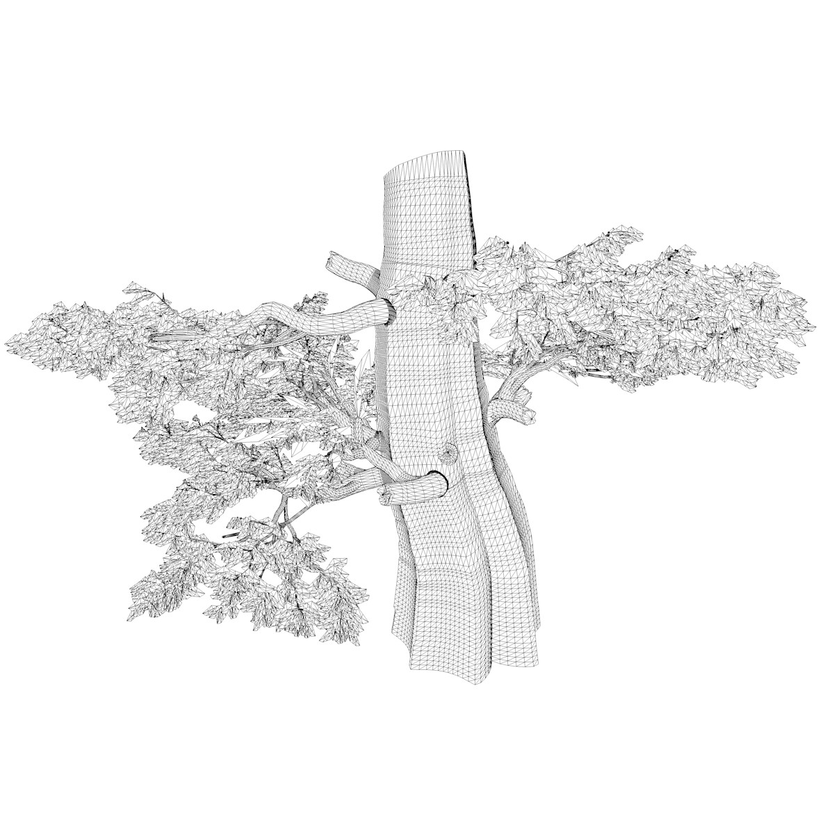 ArtStation - Western Juniper #10 (FBX) - High Poly Tree (3D Model ...