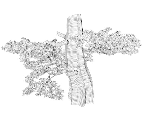 ArtStation - Western Juniper #10 (FBX) - High Poly Tree (3D Model ...
