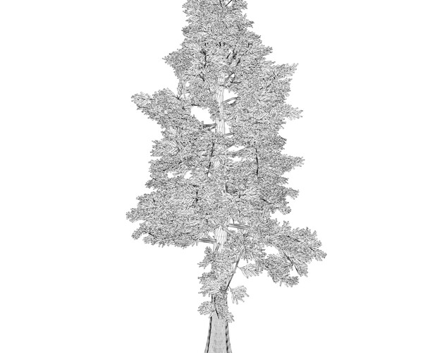ArtStation - Western Red Cedar #06 (FBX) - High Poly Tree (3D Model ...