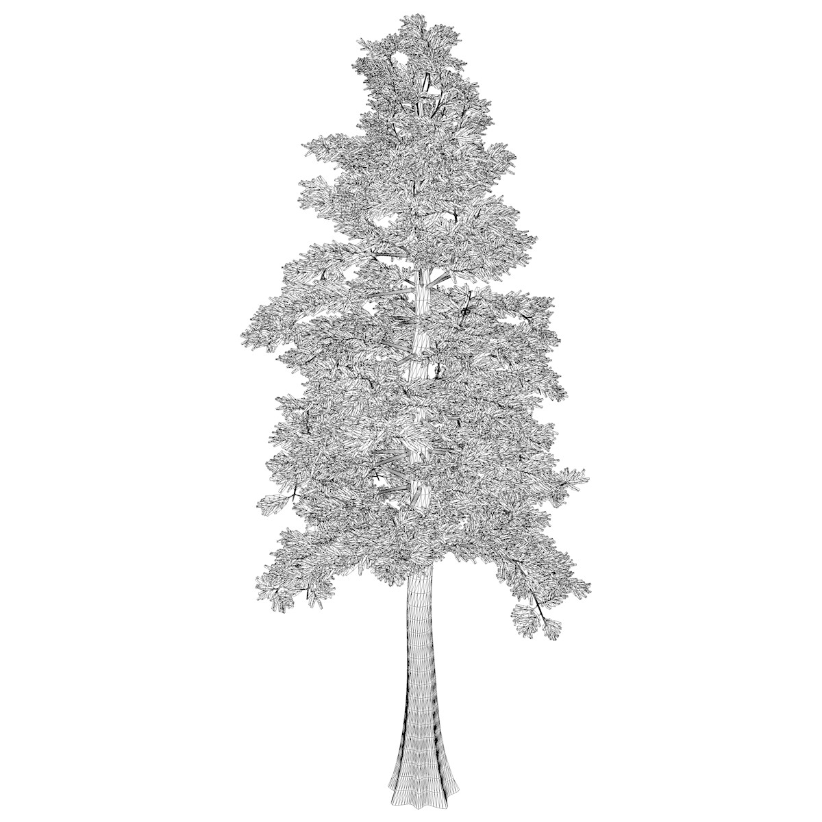 ArtStation - Western Red Cedar #08 (FBX) - High Poly Tree (3D Model ...