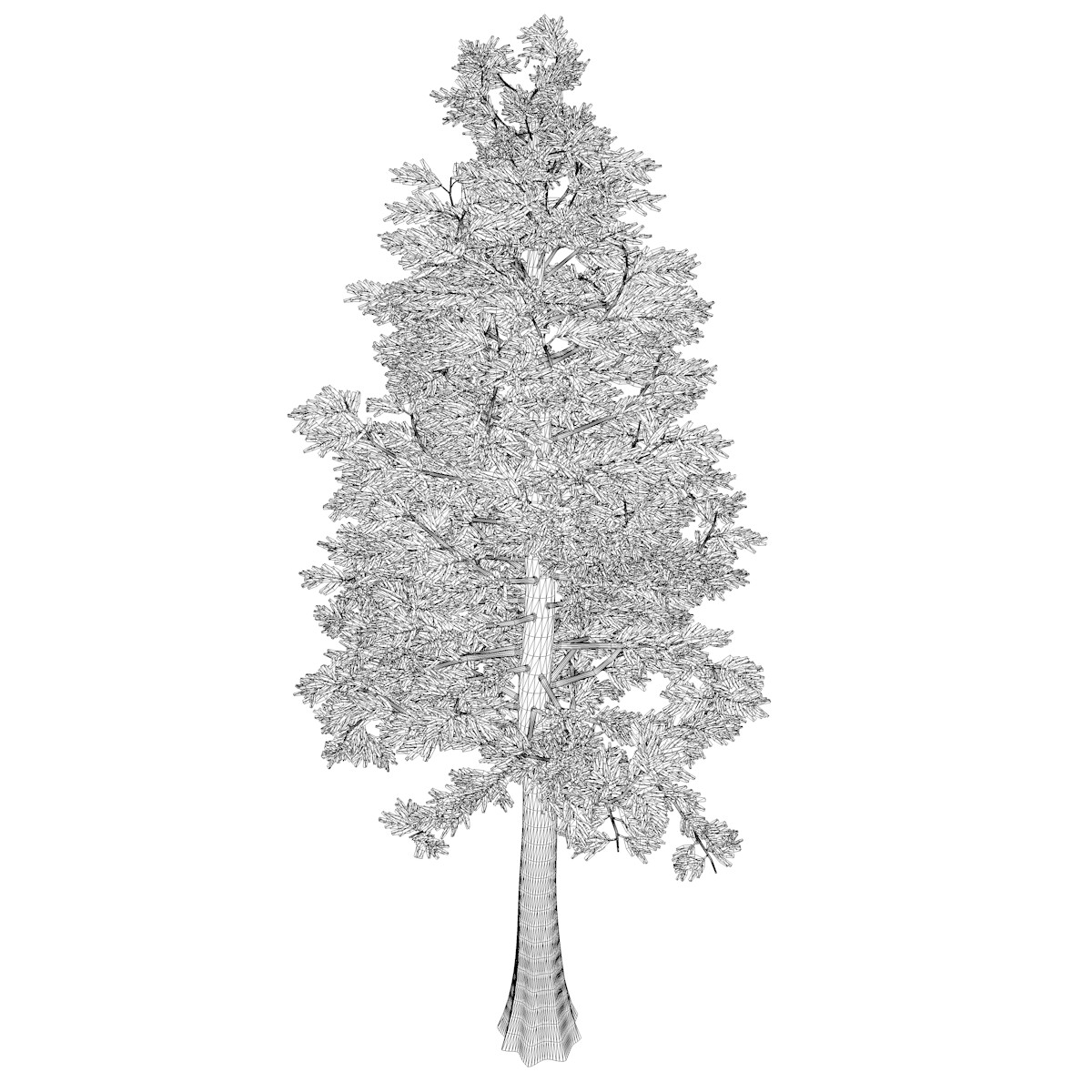 ArtStation - Western Red Cedar #09 (FBX) - High Poly Tree (3D Model ...