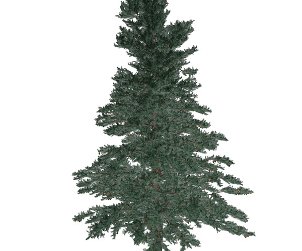 ArtStation - White Fir #01 (FBX) - High Poly Tree (3D Model) | Resources