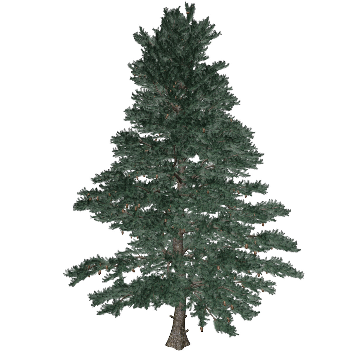 ArtStation - White Fir #09 (FBX) - High Poly Tree (3D Model) | Resources