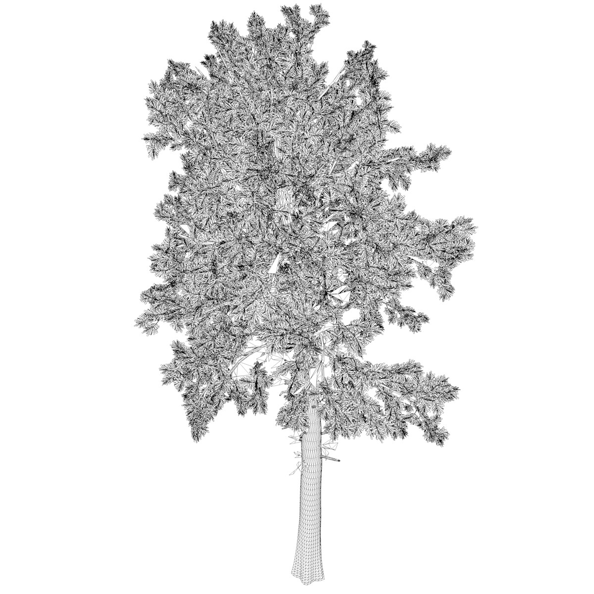 ArtStation - Loblolly Pine #04 (FBX) - High Poly Tree (3D Model ...