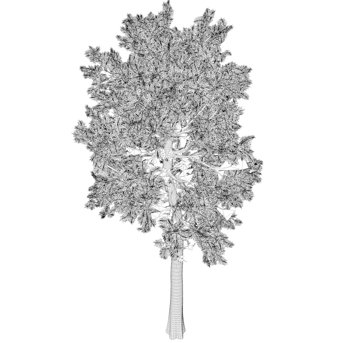 ArtStation - Loblolly Pine #10 (FBX) - High Poly Tree (3D Model ...