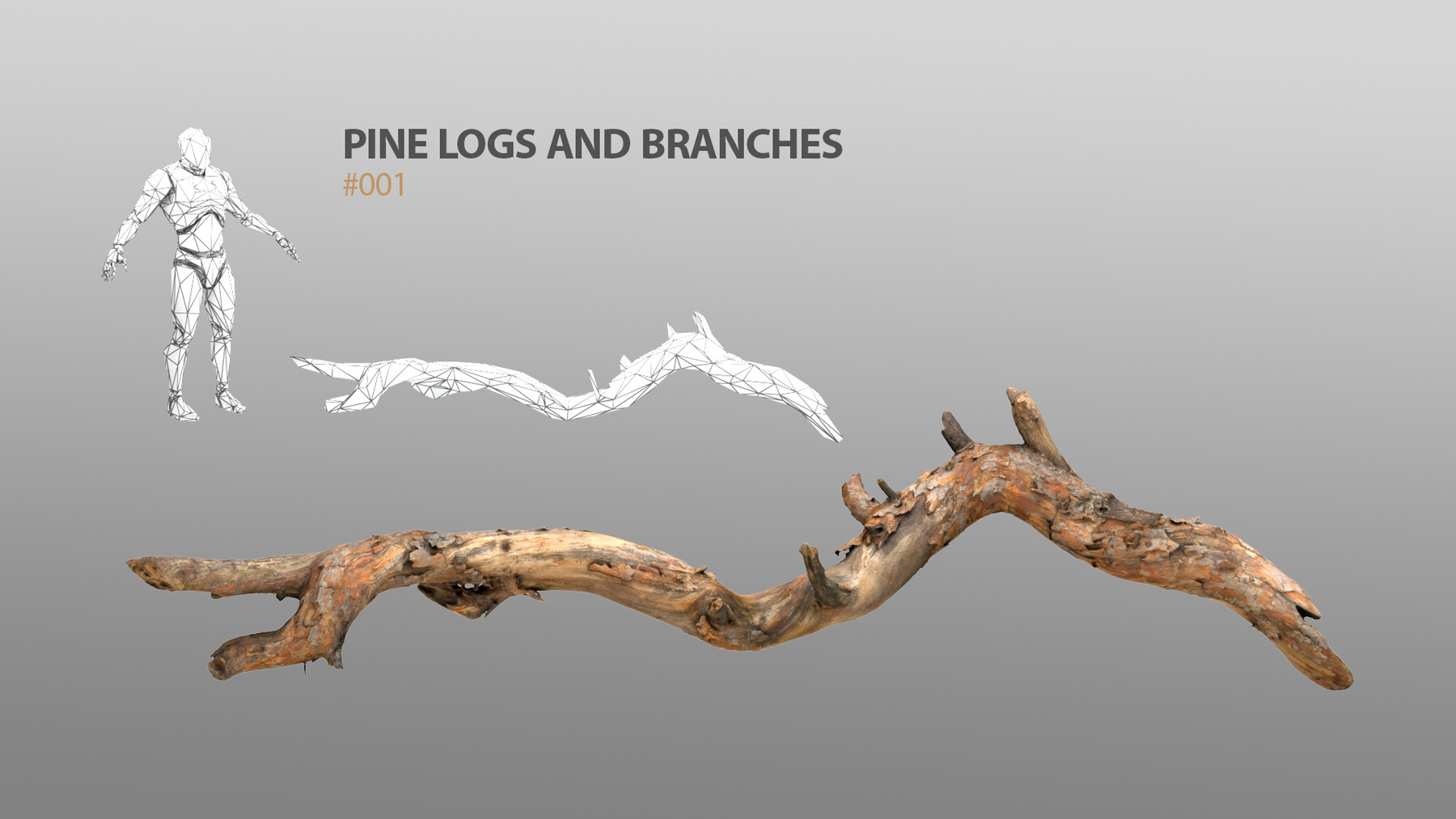 ArtStation - Pine tree logs and branches : Photogrammetry assets | Game Assets