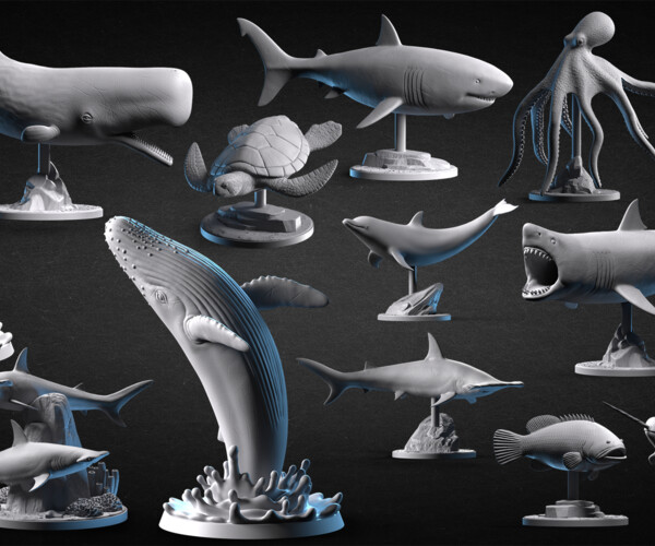 ArtStation - Animals - Ocean Wildlife - 3D Print Models | Resources