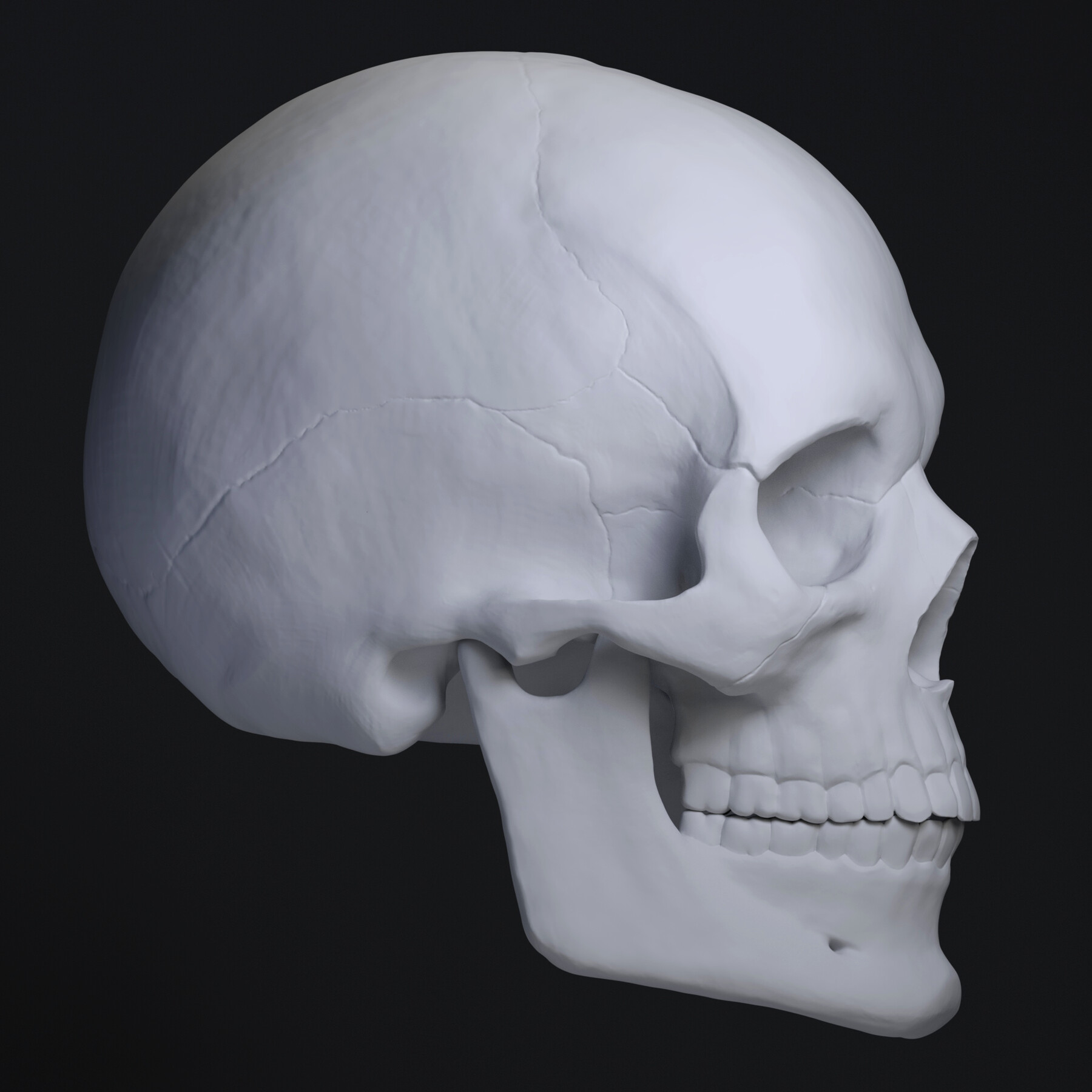 ArtStation - Skull STL | Resources