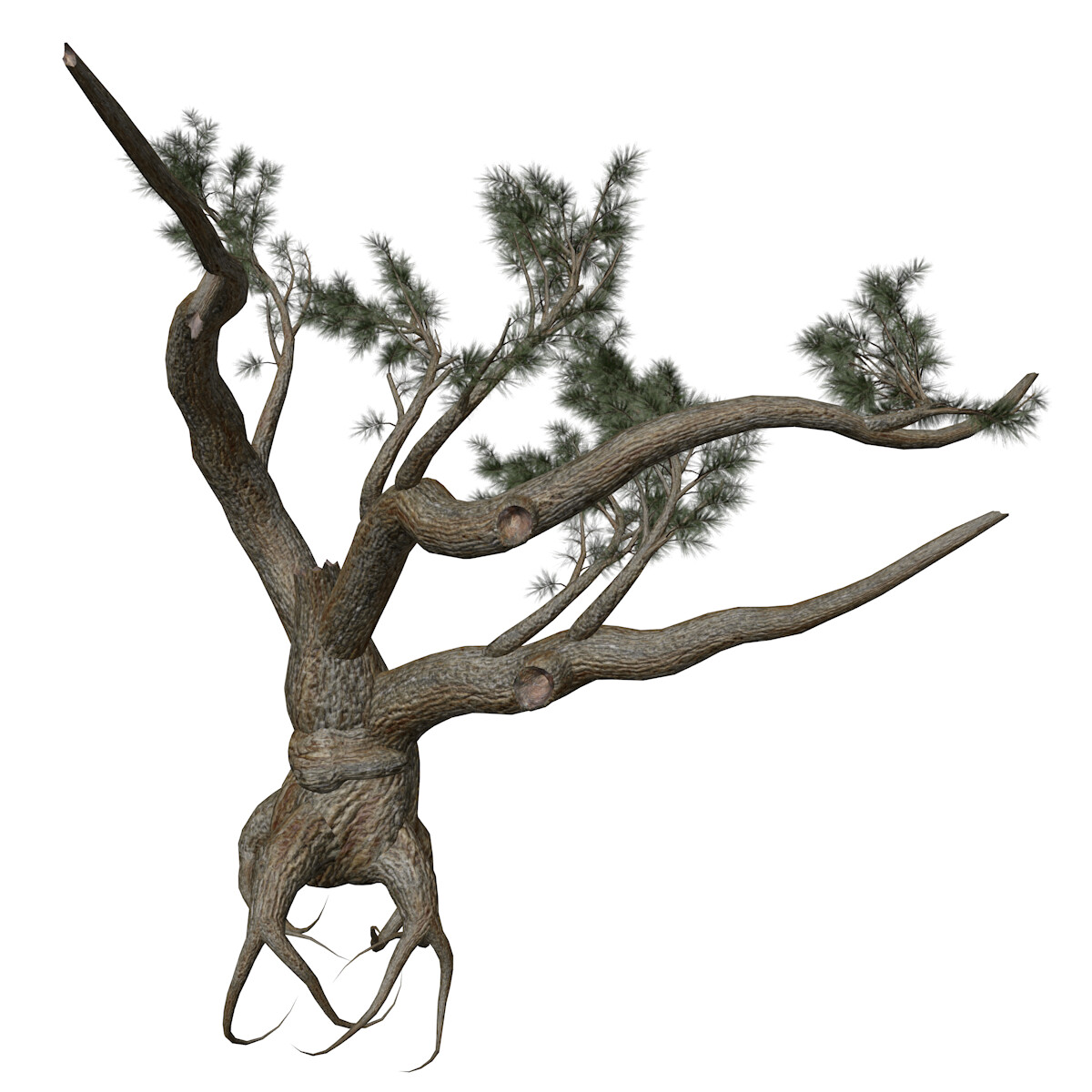 ArtStation - Jeffrey Pine #04 (FBX) - High Poly Tree (3D Model) | Resources