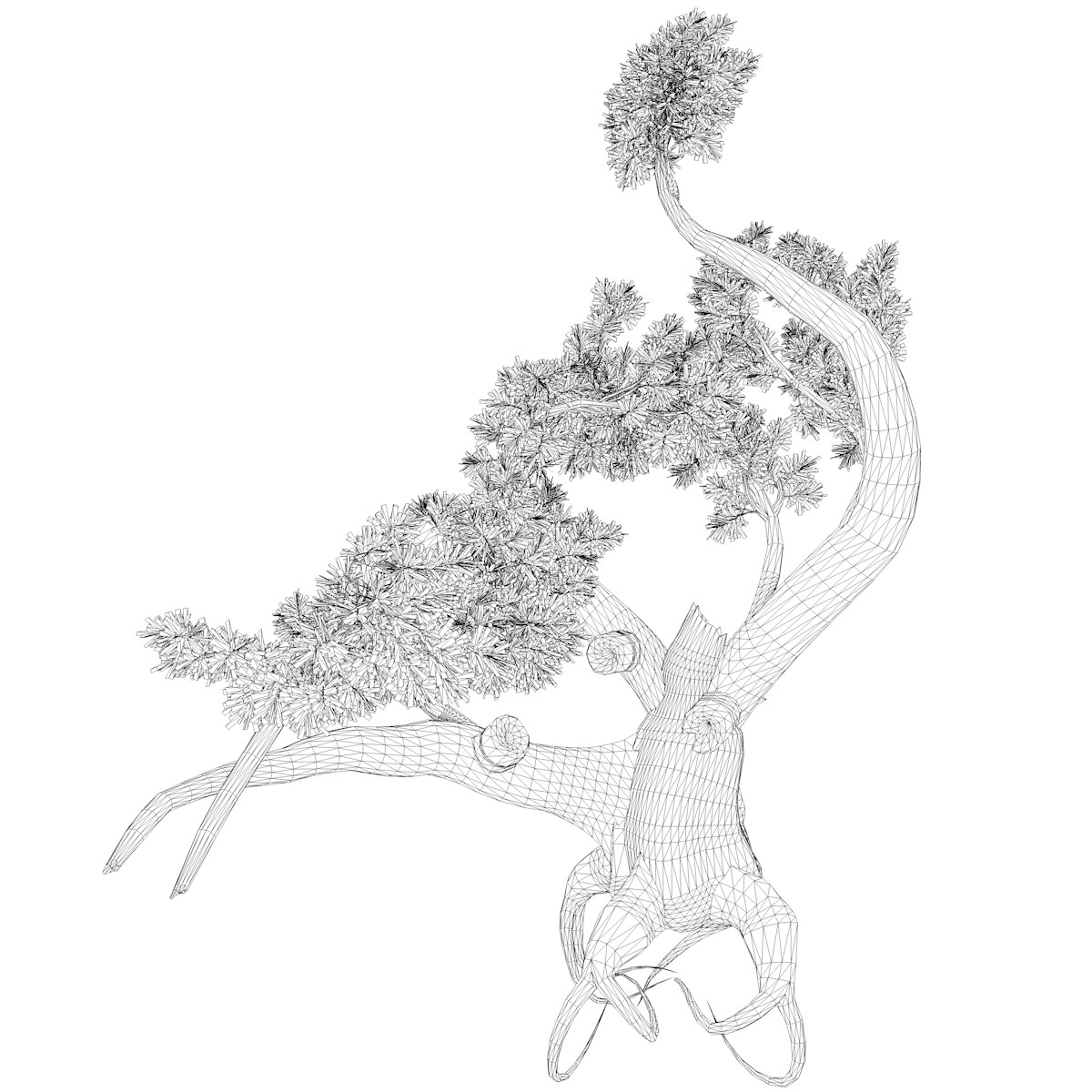 ArtStation - Jeffrey Pine #06 (FBX) - High Poly Tree (3D Model) | Resources