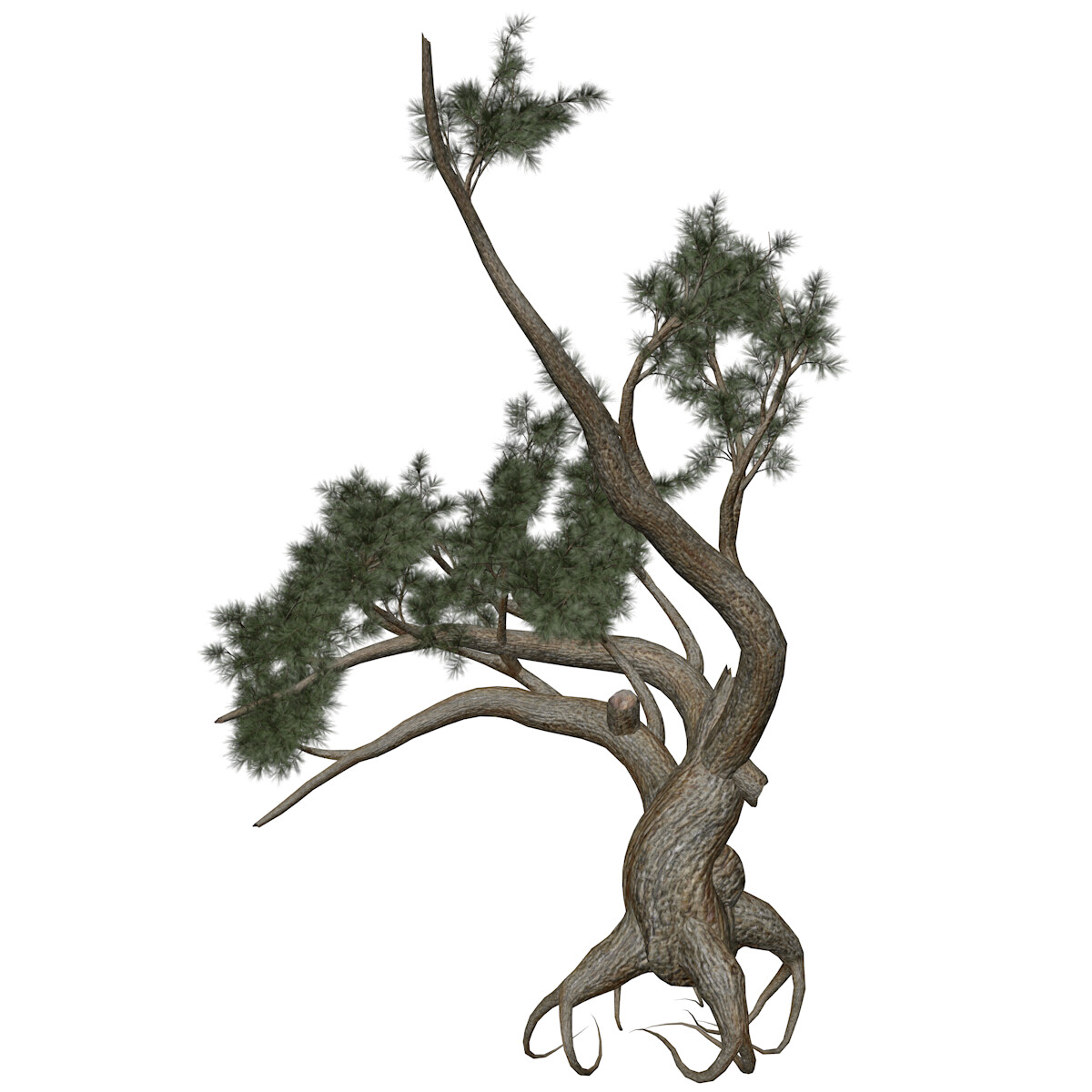ArtStation - Jeffrey Pine #08 (FBX) - High Poly Tree (3D Model) | Resources