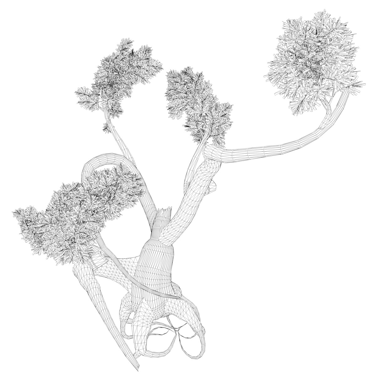 ArtStation - Jeffrey Pine #10 (FBX) - High Poly Tree (3D Model) | Resources