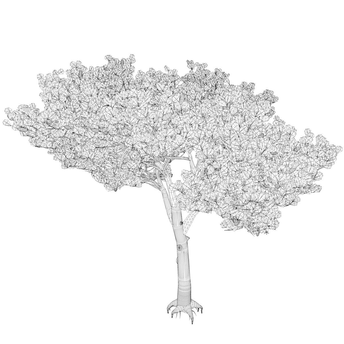 ArtStation - Italian Stone Pine #01 (FBX) - High Poly Tree (3D Model ...