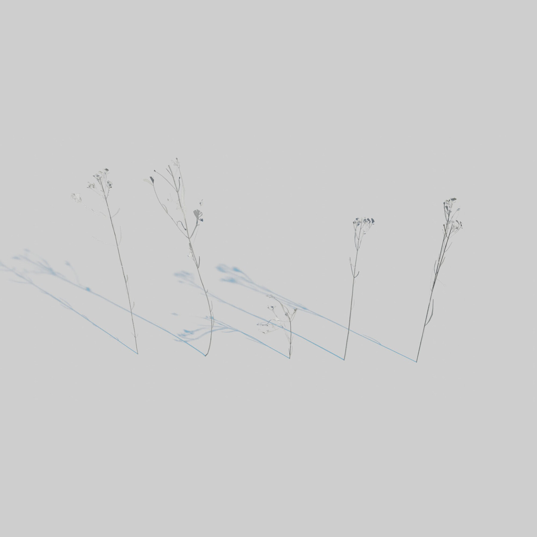 ArtStation - Dry Plants Pack | Resources