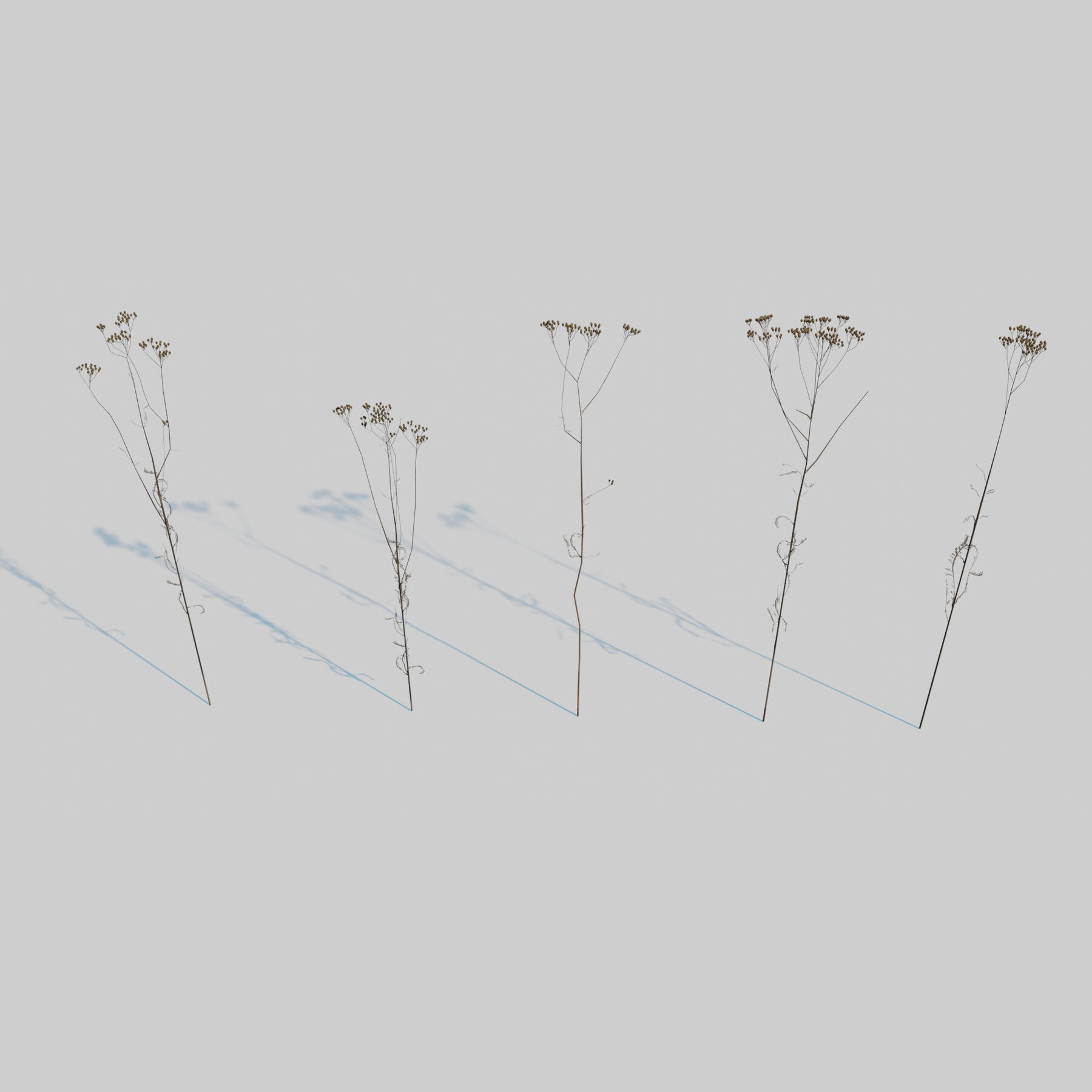 ArtStation - Dry Plants Pack | Resources