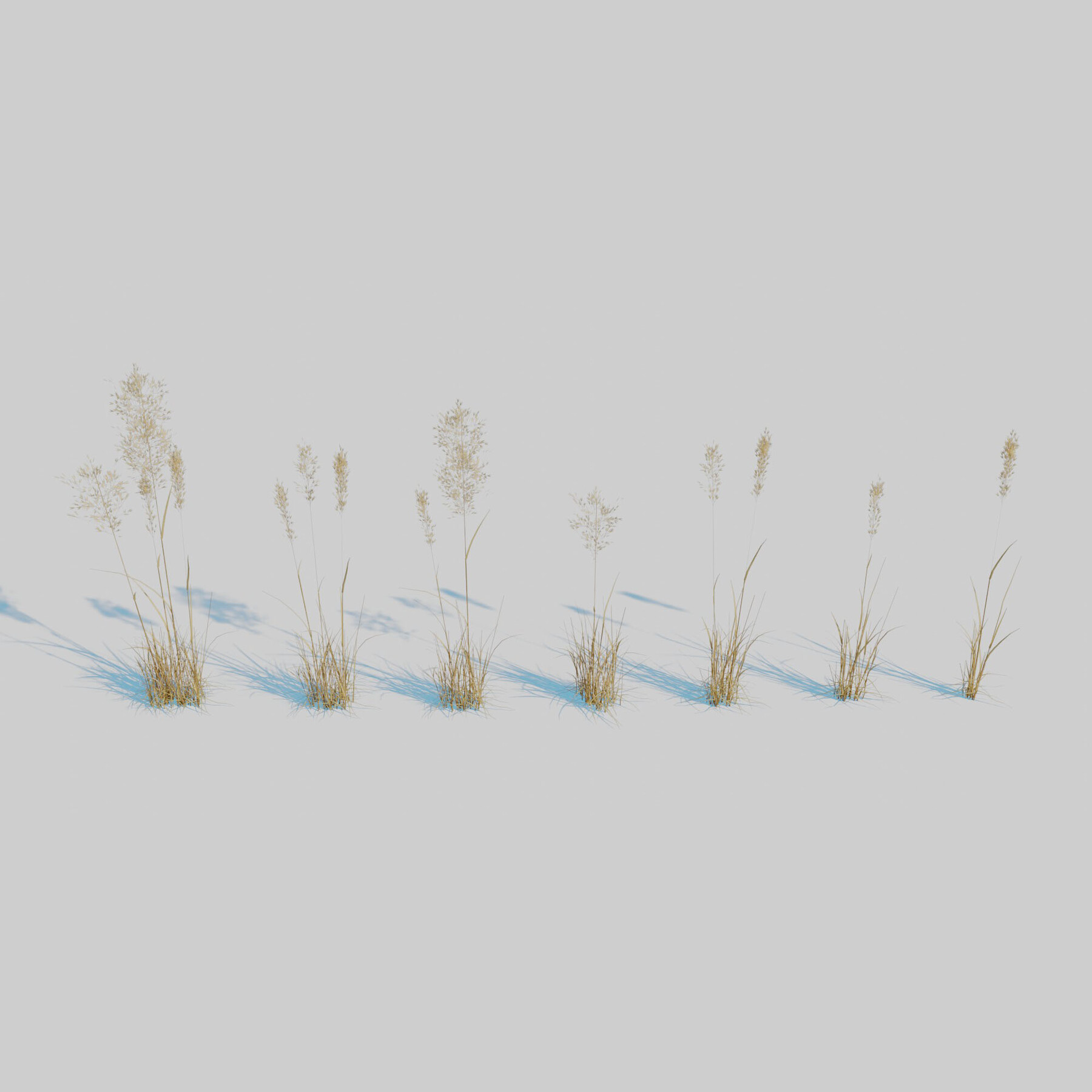 ArtStation - Dry Plants Pack | Resources