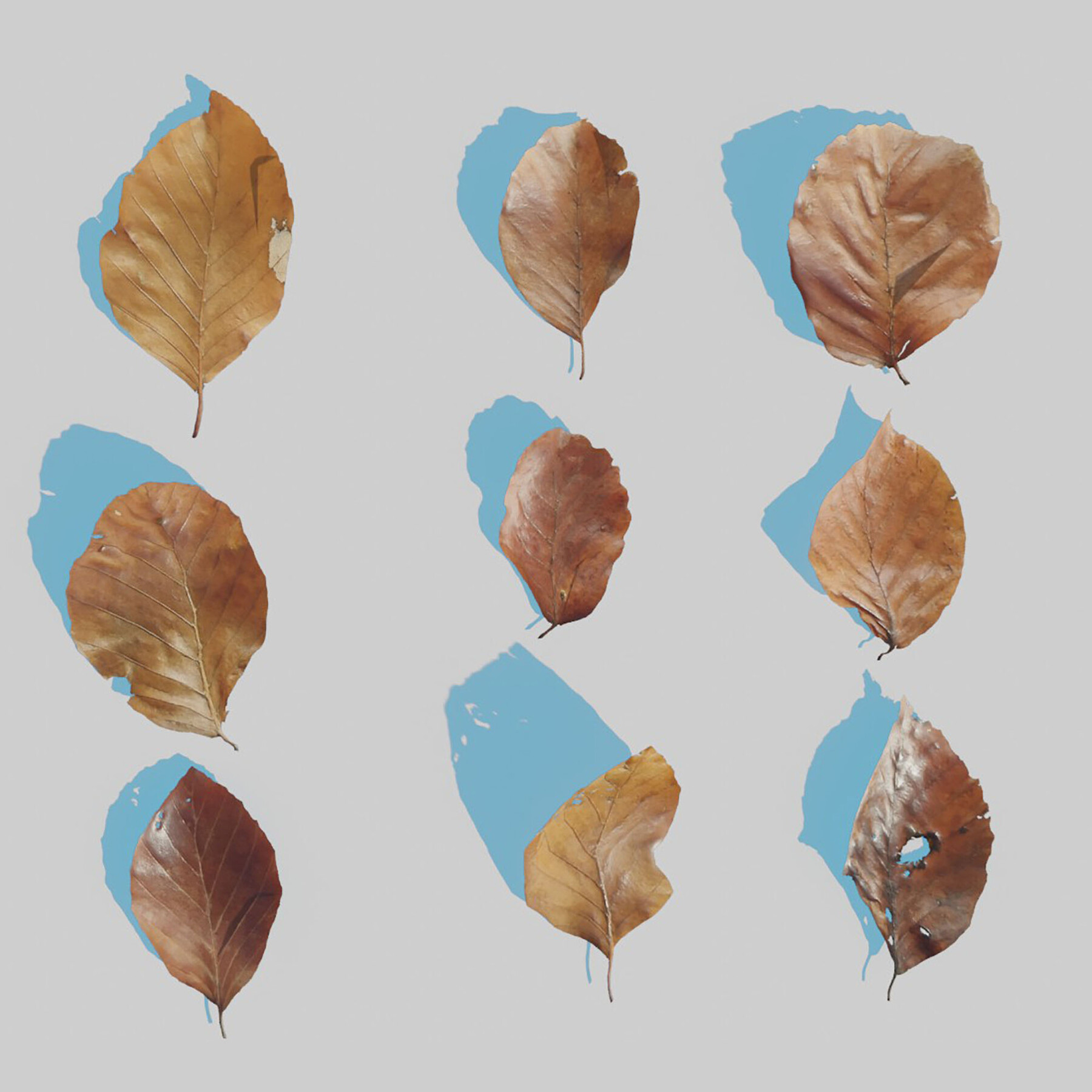 ArtStation - Dry Plants Pack | Resources